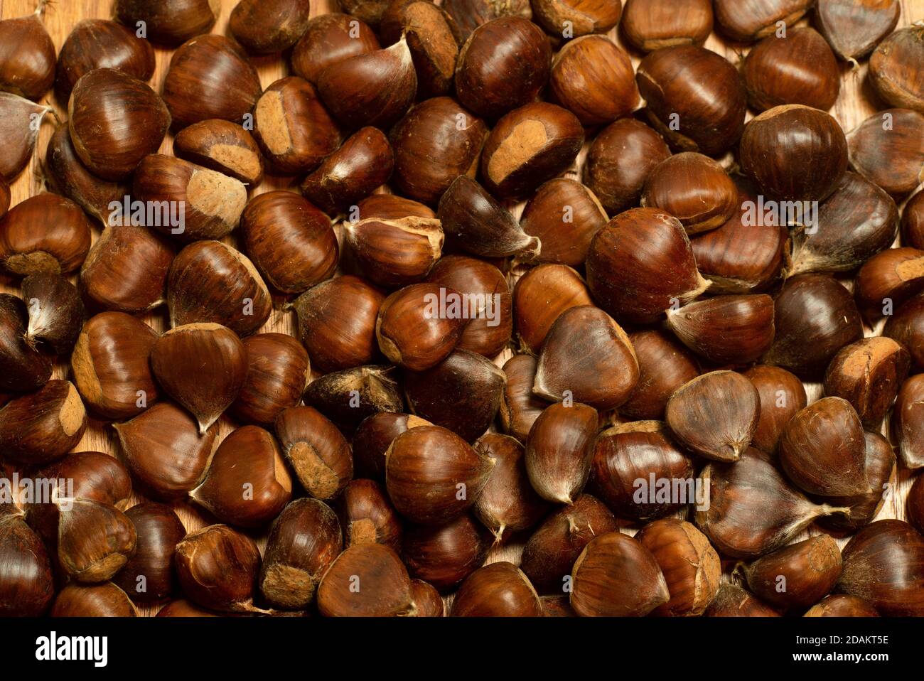 autumn details. chestnuts with shell Stock Photo - Alamy