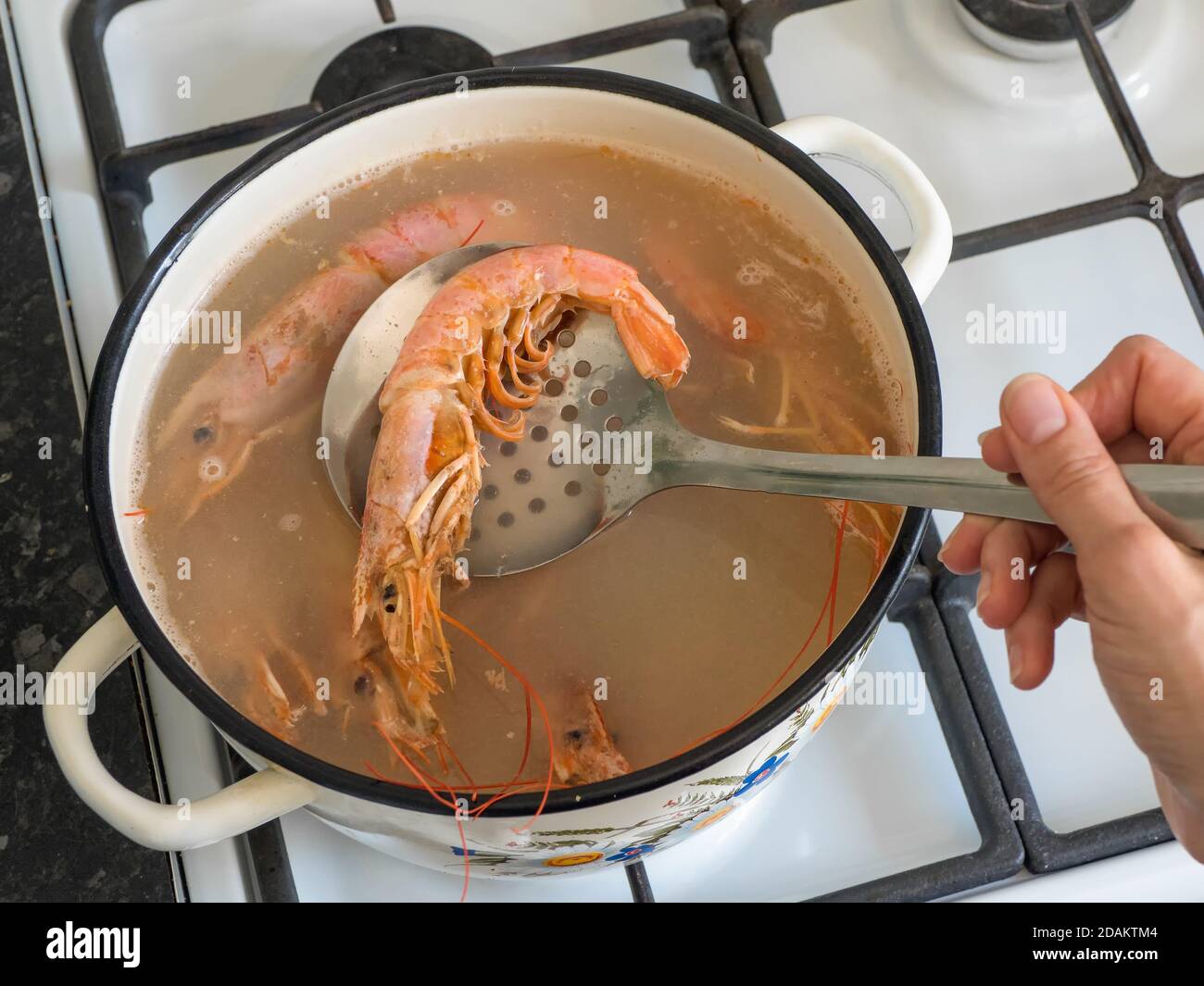Giant shrimp close up hi-res stock photography and images - Alamy