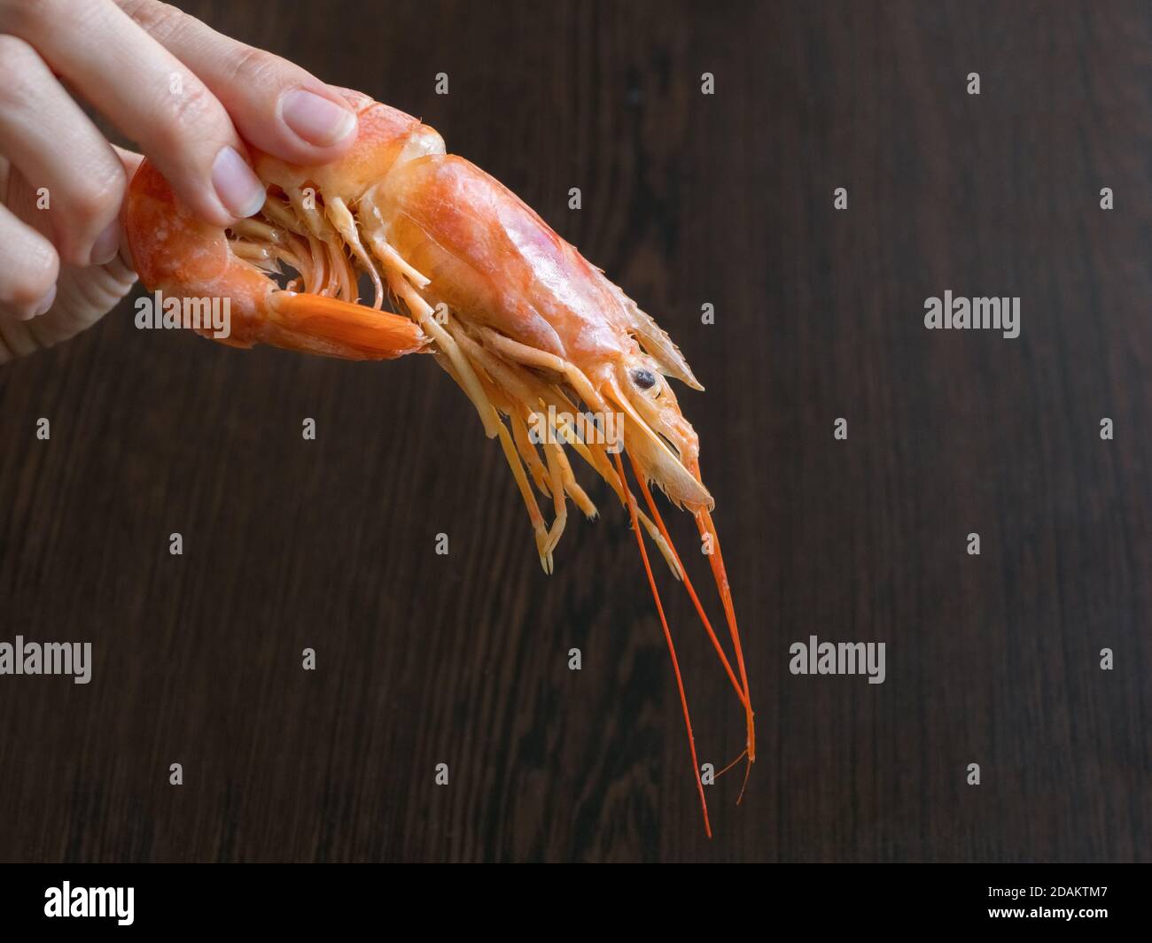 Hand holding a large fresh shrimp. Cooked fresh giant prawns Stock ...