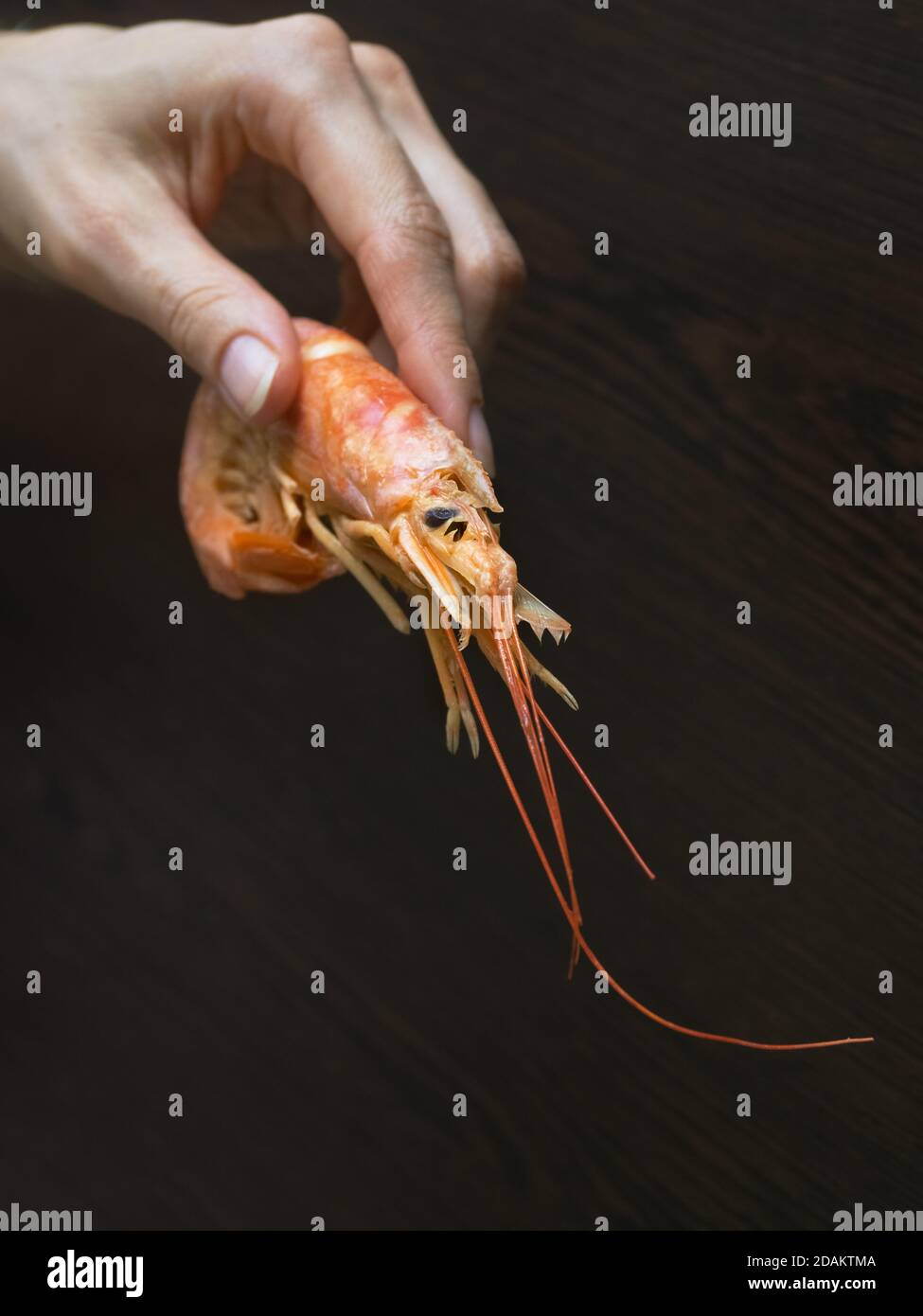 Hand holding a large fresh shrimp. Cooked fresh giant prawns Stock ...