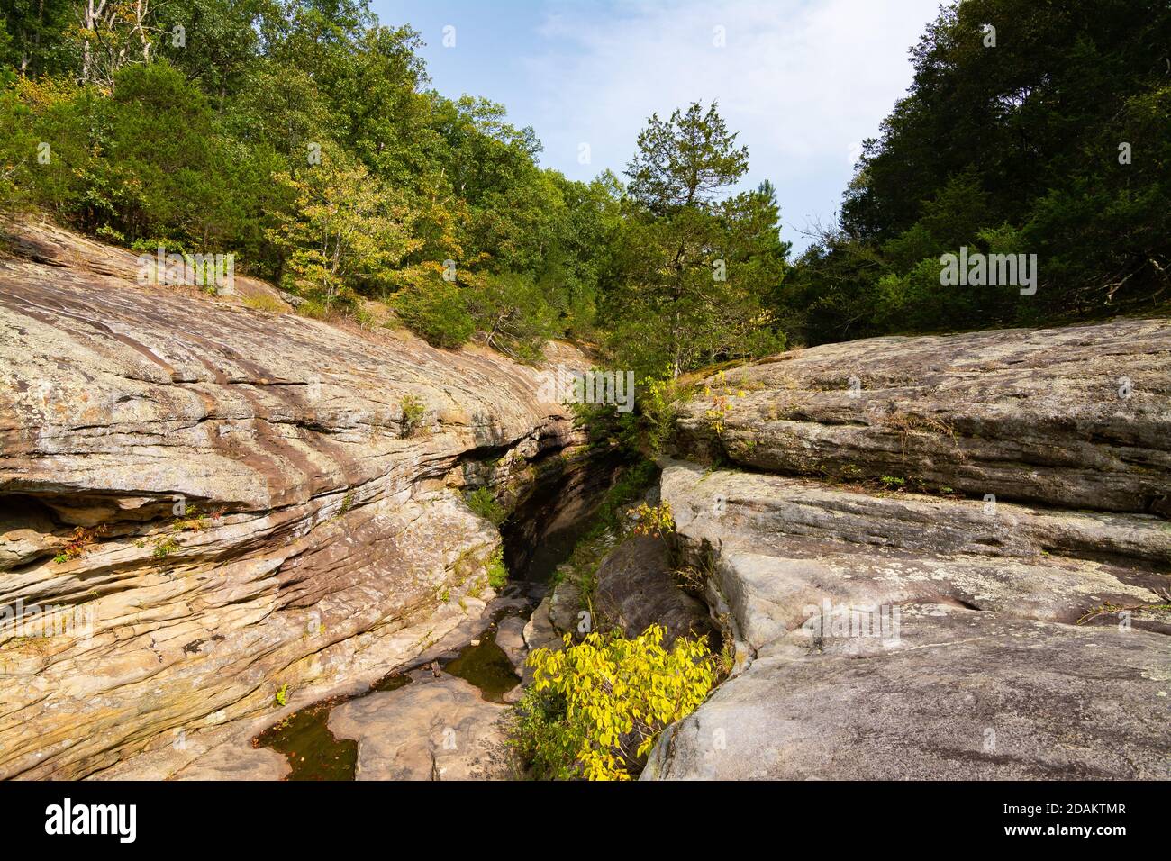 Landscape along the hiking trail at Bell Smith Springs in the Shawnee ...