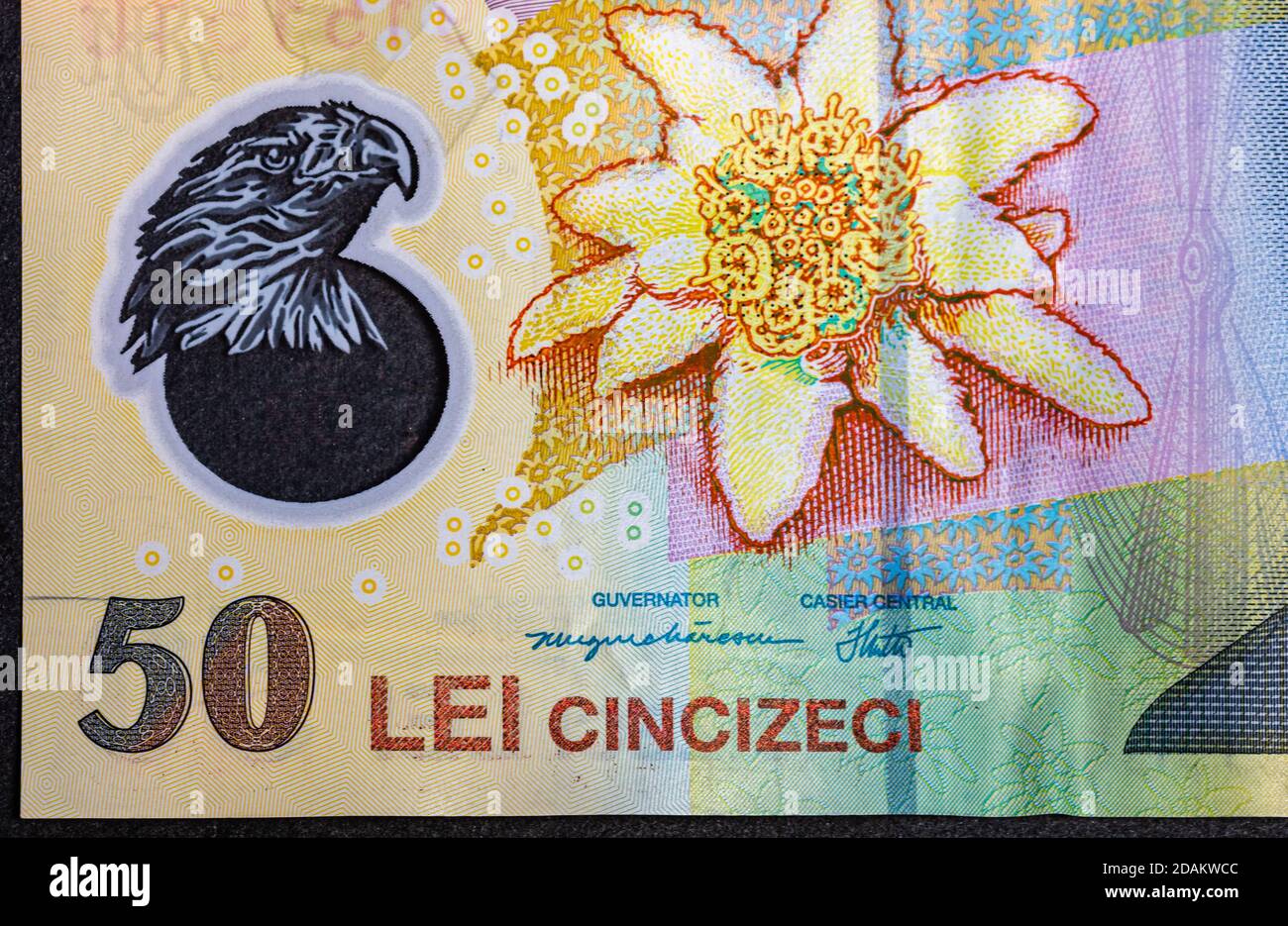 Selective focus on detail of lei banknotes. Close up macro detail of ...