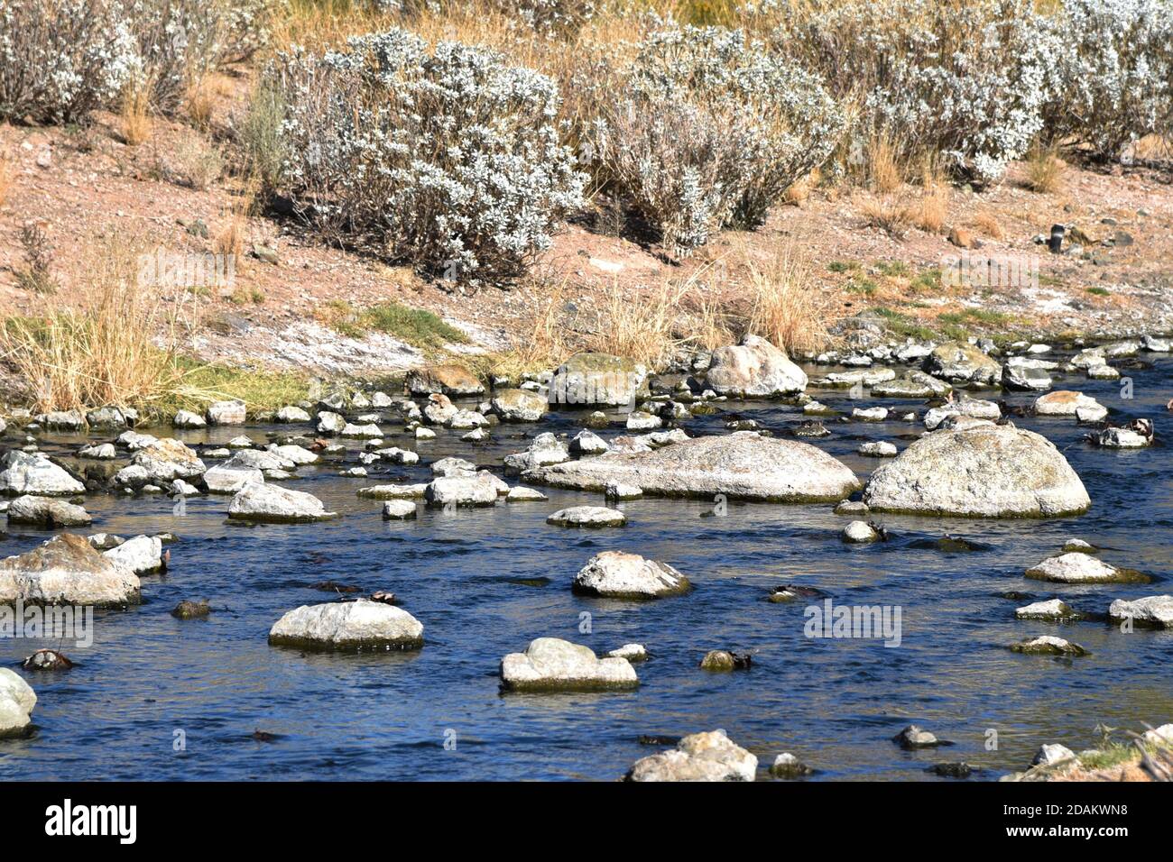 Water flowing across rocks in a stream Stock Photo - Alamy