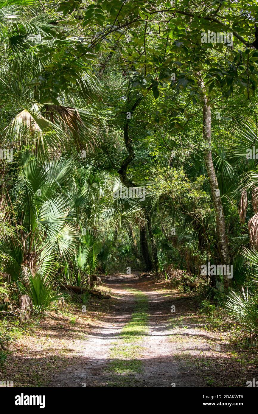 Kelly park florida hi-res stock photography and images - Alamy
