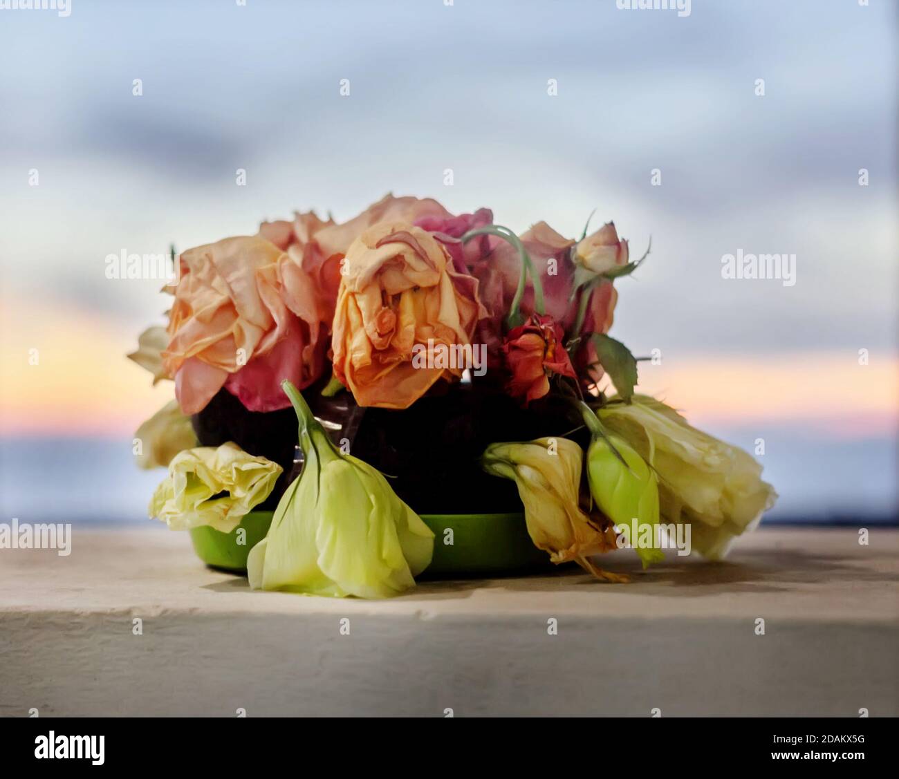Pink and white fading flowers on sunset background Stock Photo - Alamy