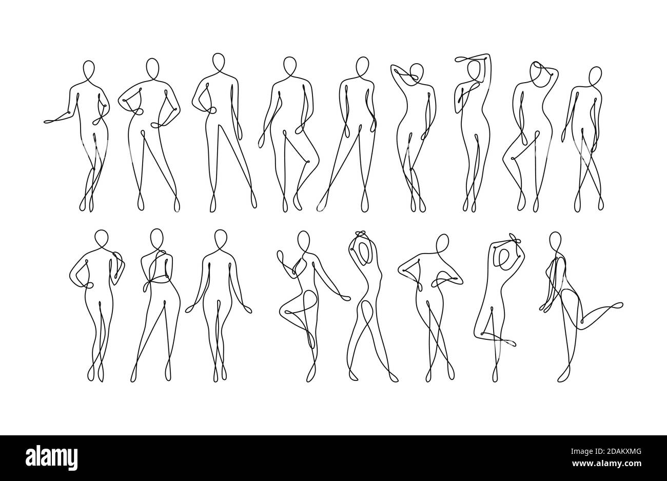 Adult female bodies Stock Vector Images - Alamy