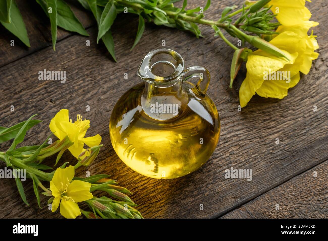 Evening primrose flowers and oil on a table Stock Photo - Alamy