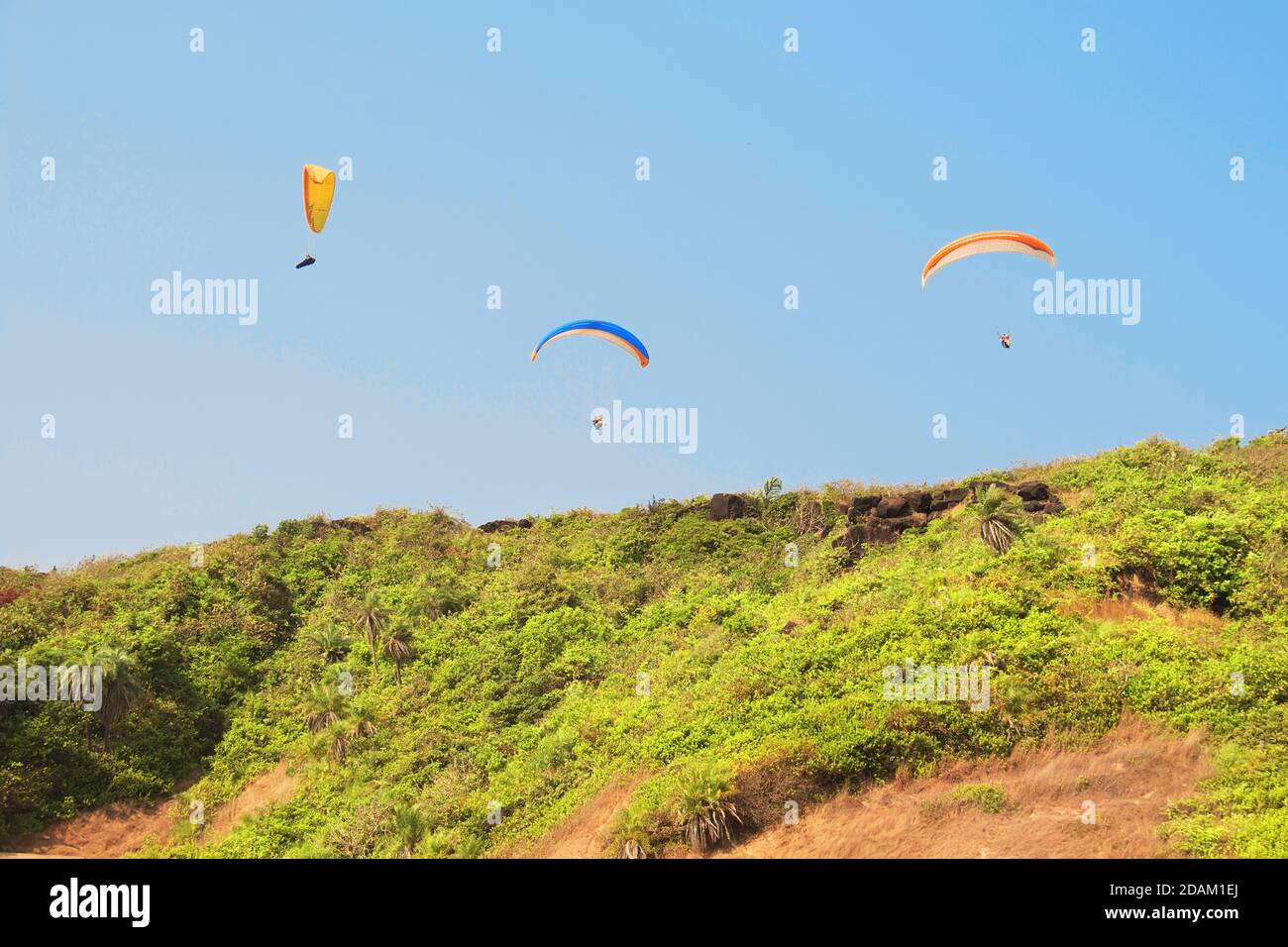 Paragliding over Arambol beach. North Goa, India Stock Photo - Alamy