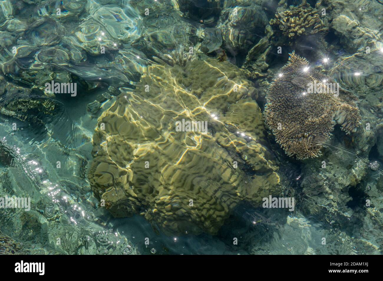 Bawean island hi-res stock photography and images - Alamy