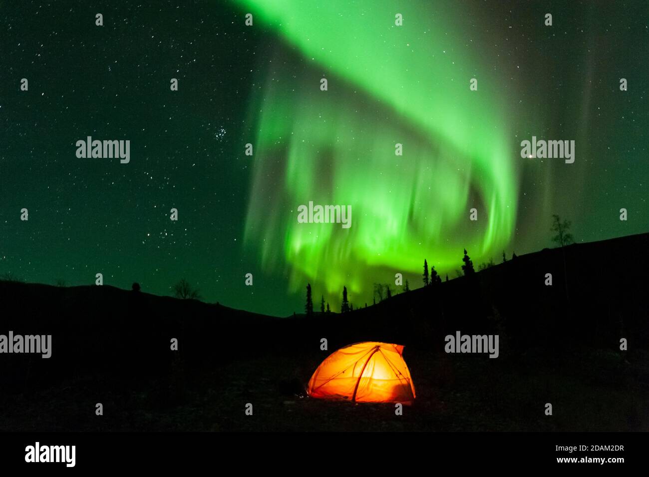 Northern Lights, Aurora Borealis, Alaska Stock Photo - Alamy