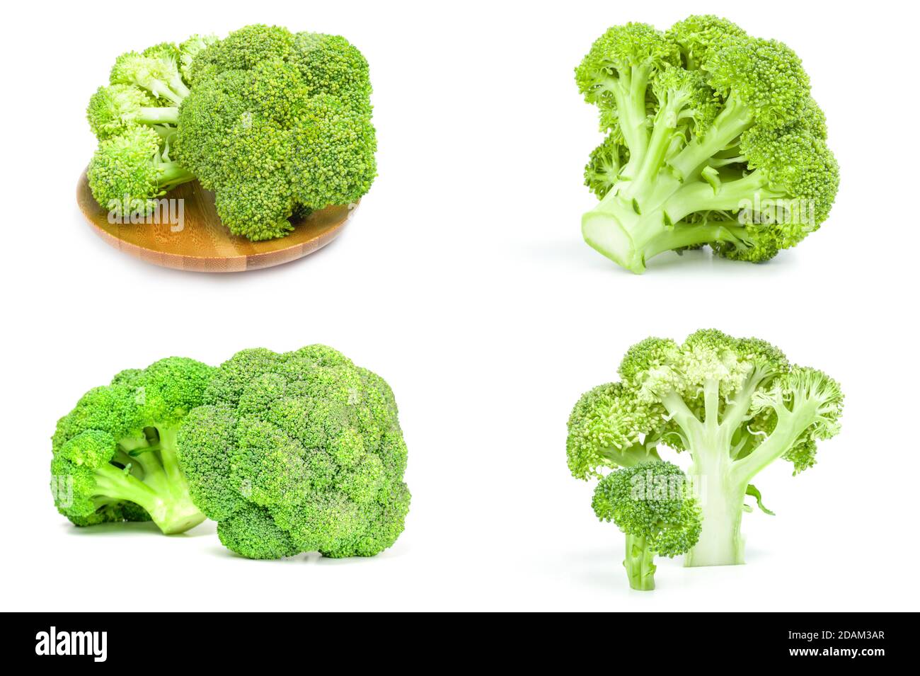 Collage of broccoli floret isolated on a white background cutout Stock ...