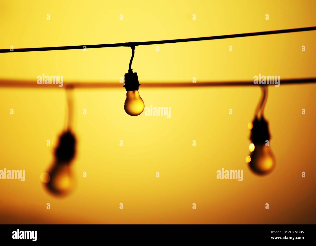 Light bulbs in sunset light Stock Photo - Alamy