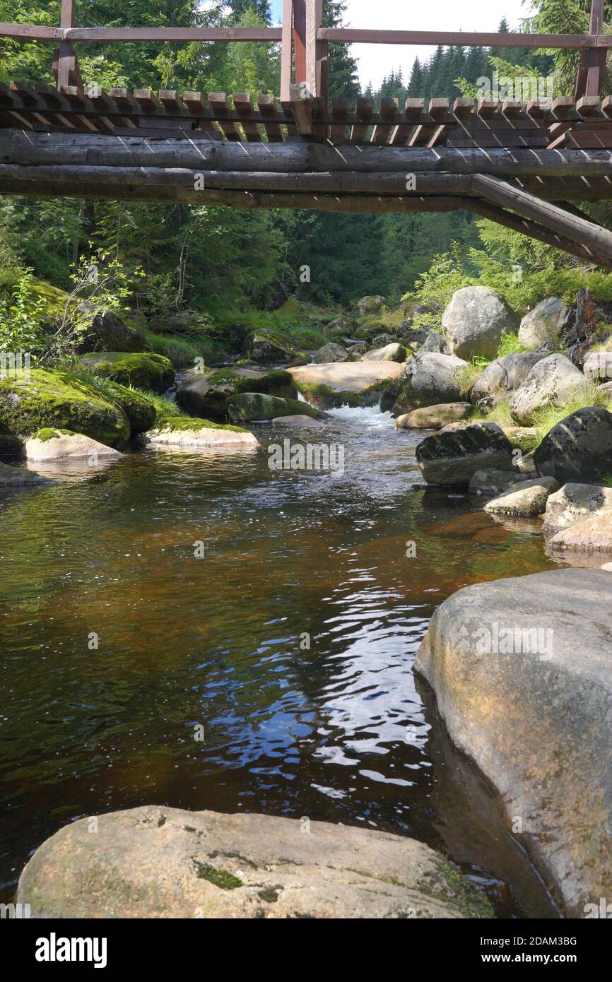 Beautiful stream in forest (Jizerka river, Czech Republic Stock Photo ...