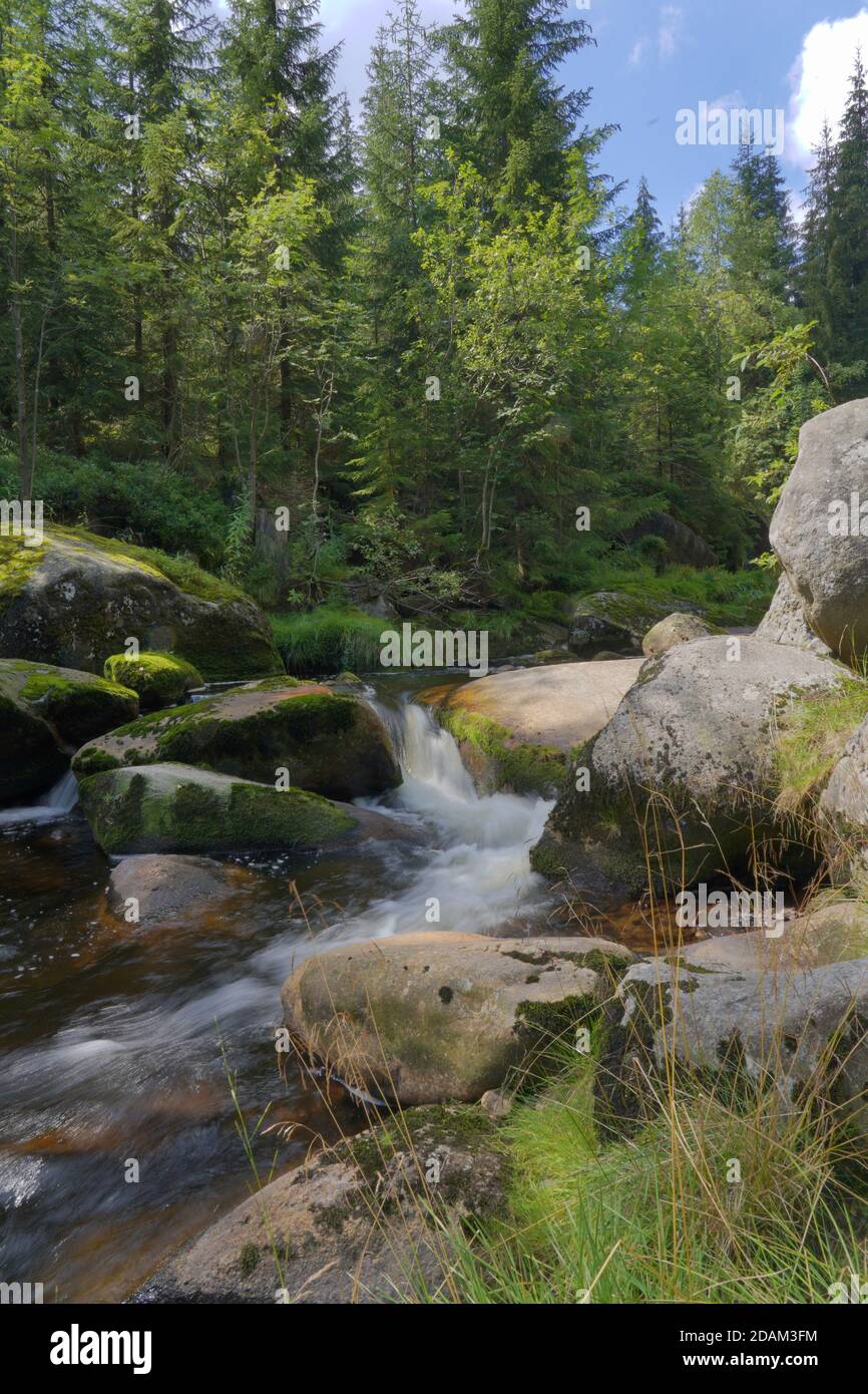 Beautiful stream in forest (Jizerka river, Czech Republic Stock Photo ...