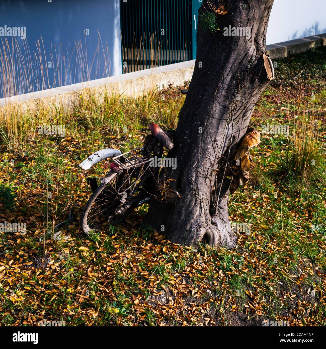 Bike leaning against tree hi-res stock photography and images - Alamy