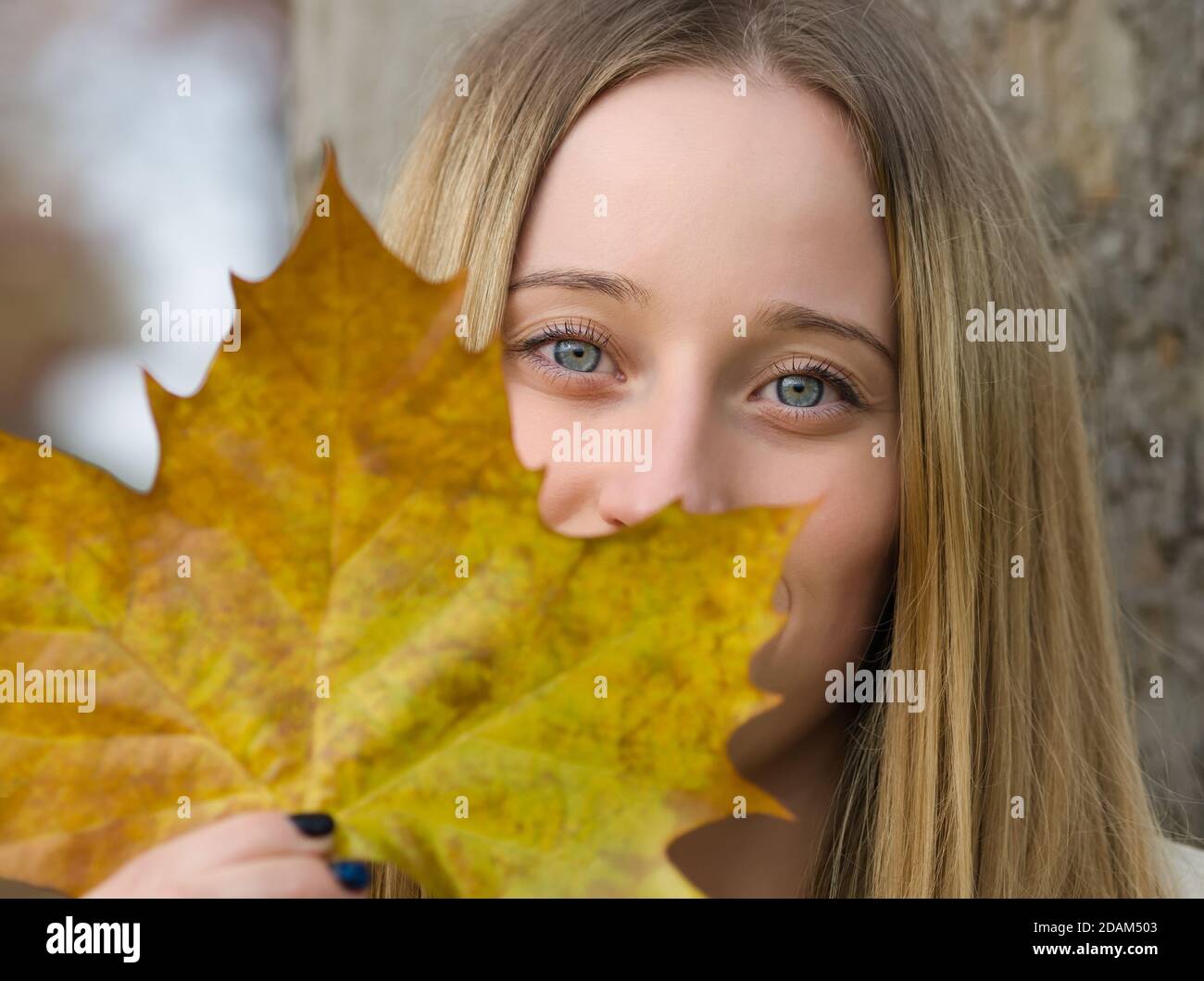 Portrait Of A Young Beautiful Blonde Woman In Autumn Park With Maple