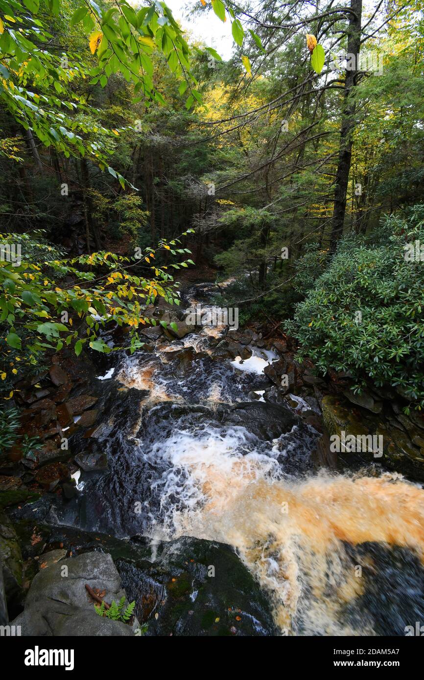 Blackwater falls state park elakala hi-res stock photography and images ...