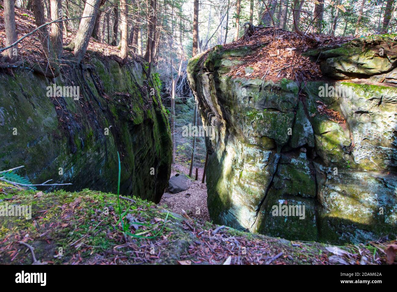 Cantwell Cliffs, Hocking Hills State Park, Ohio Stock Photo - Alamy