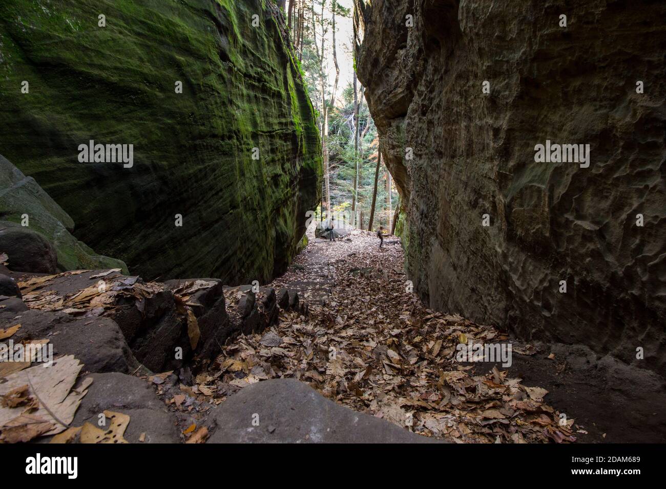 Cantwell Cliffs, Hocking Hills State Park, Ohio Stock Photo - Alamy