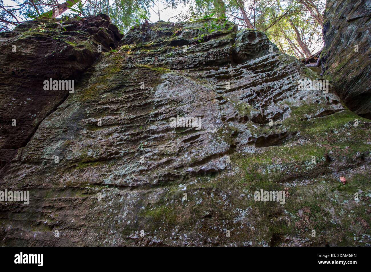 Cantwell Cliffs, Hocking Hills State Park, Ohio Stock Photo - Alamy