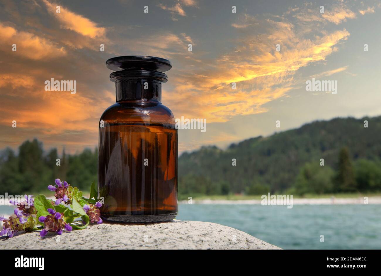 Pharmacy bottle and flowers on nature background, sunset. Bach Flower ...