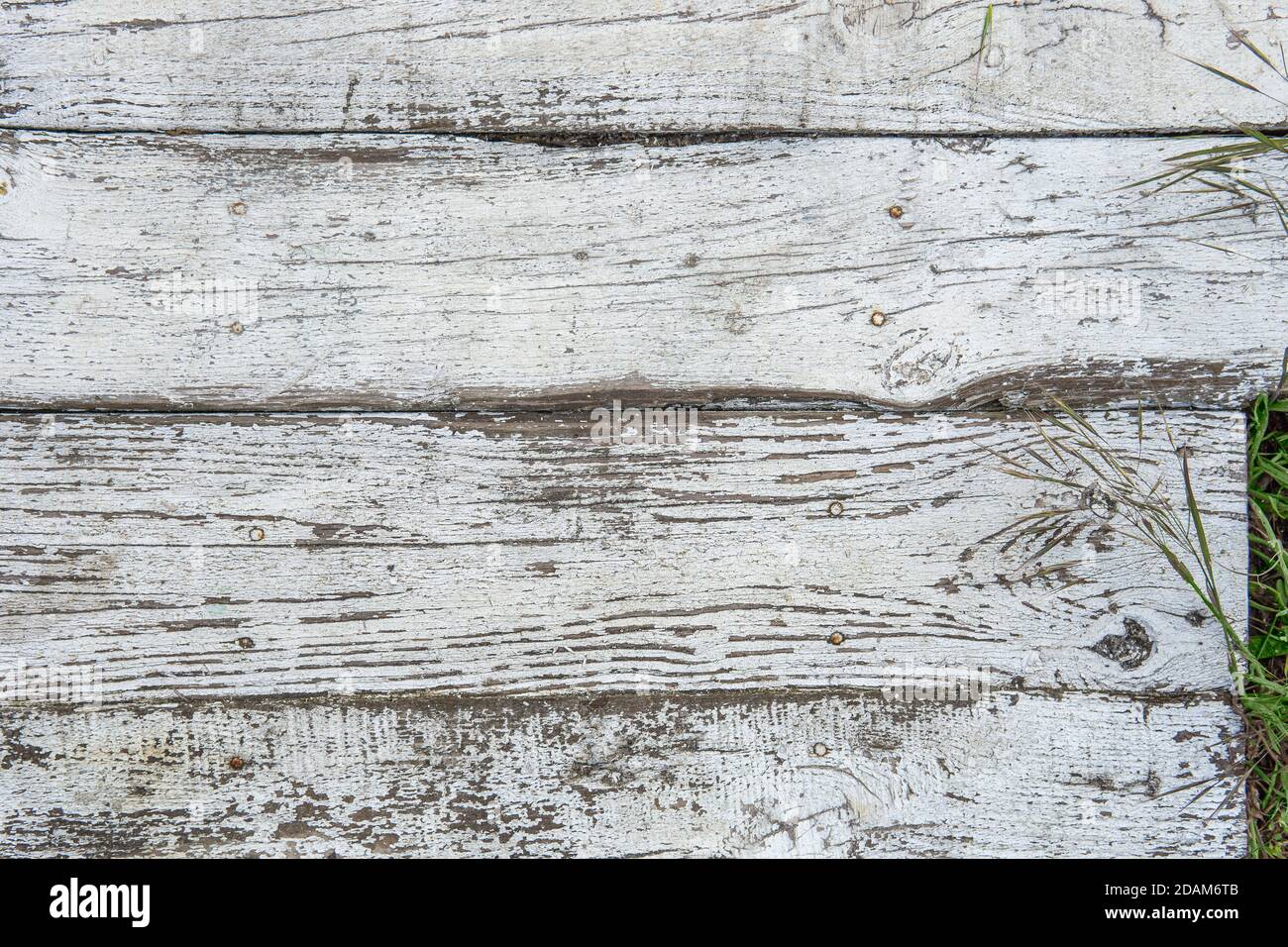 Light wooden background. Rough boards. Natural wood texture and pattern ...