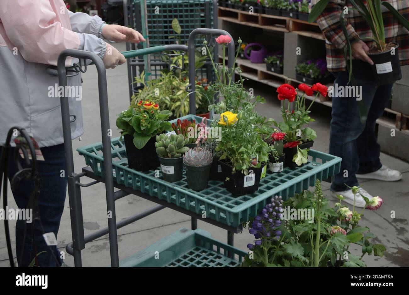 Retail Garden Center In The Spring Stock Photo - Alamy