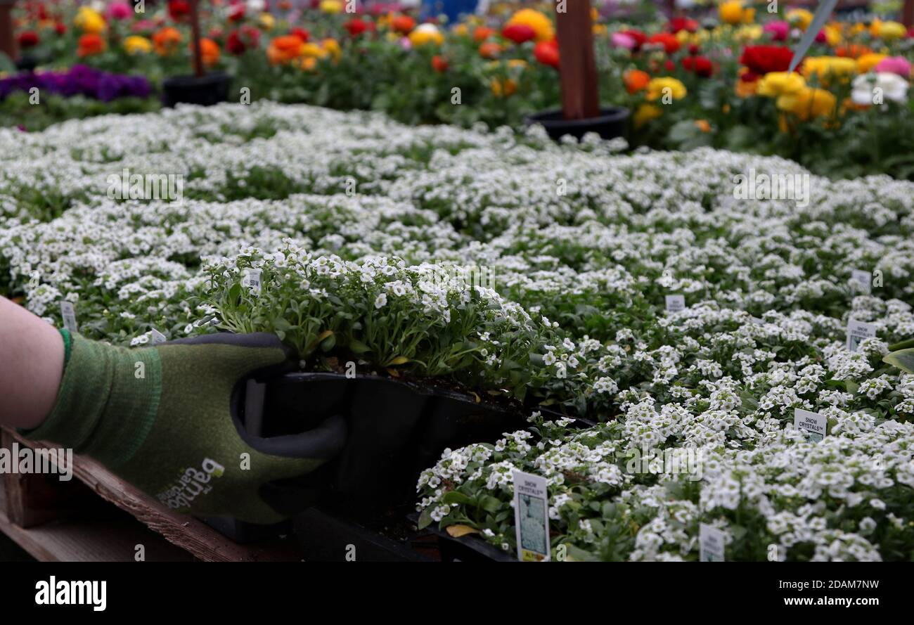 Retail Garden Center In The Spring Stock Photo - Alamy