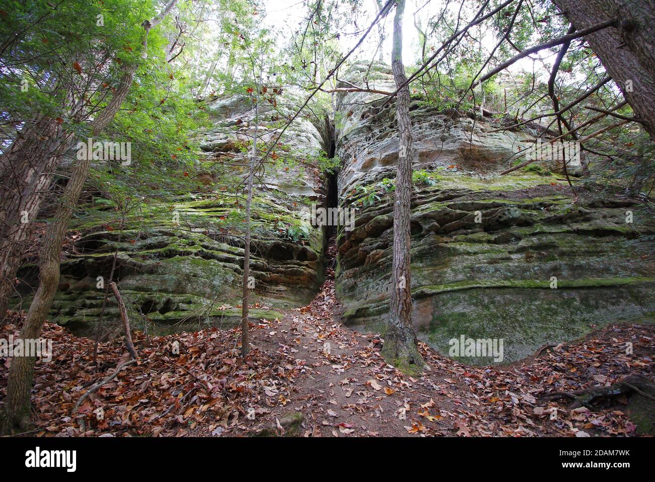 Cantwell Cliffs, Hocking Hills State Park, Ohio Stock Photo - Alamy