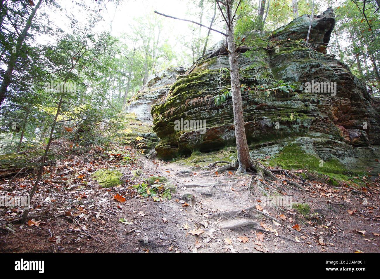 Cantwell Cliffs, Hocking Hills State Park, Ohio Stock Photo - Alamy