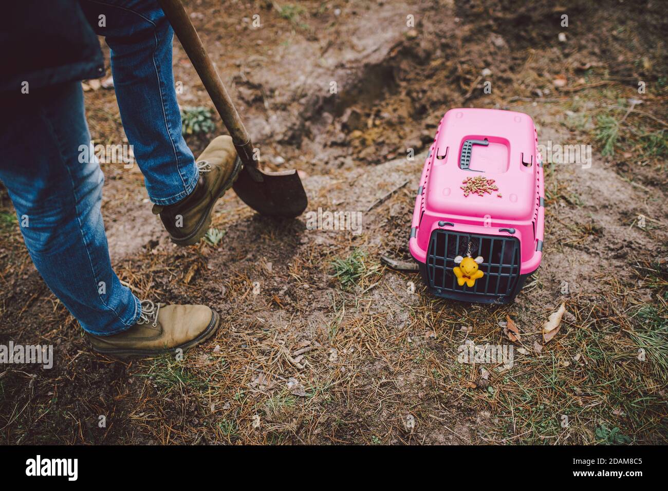 Man digging a grave in pet cemetery. Gravedigger digs pet burial hole ...