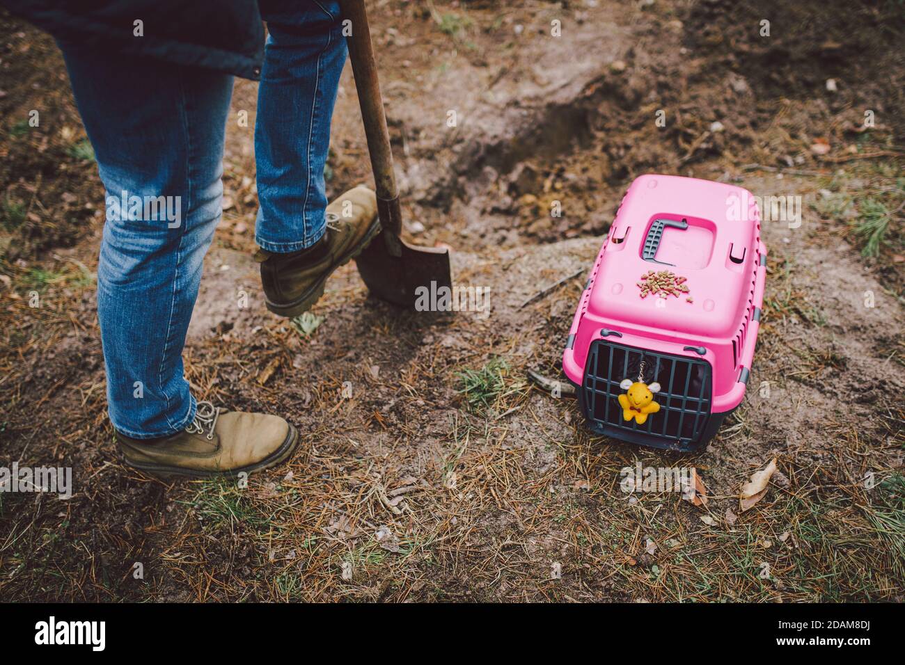 Scary horror scene man digs grave for animal in forest. Terrible loss ...