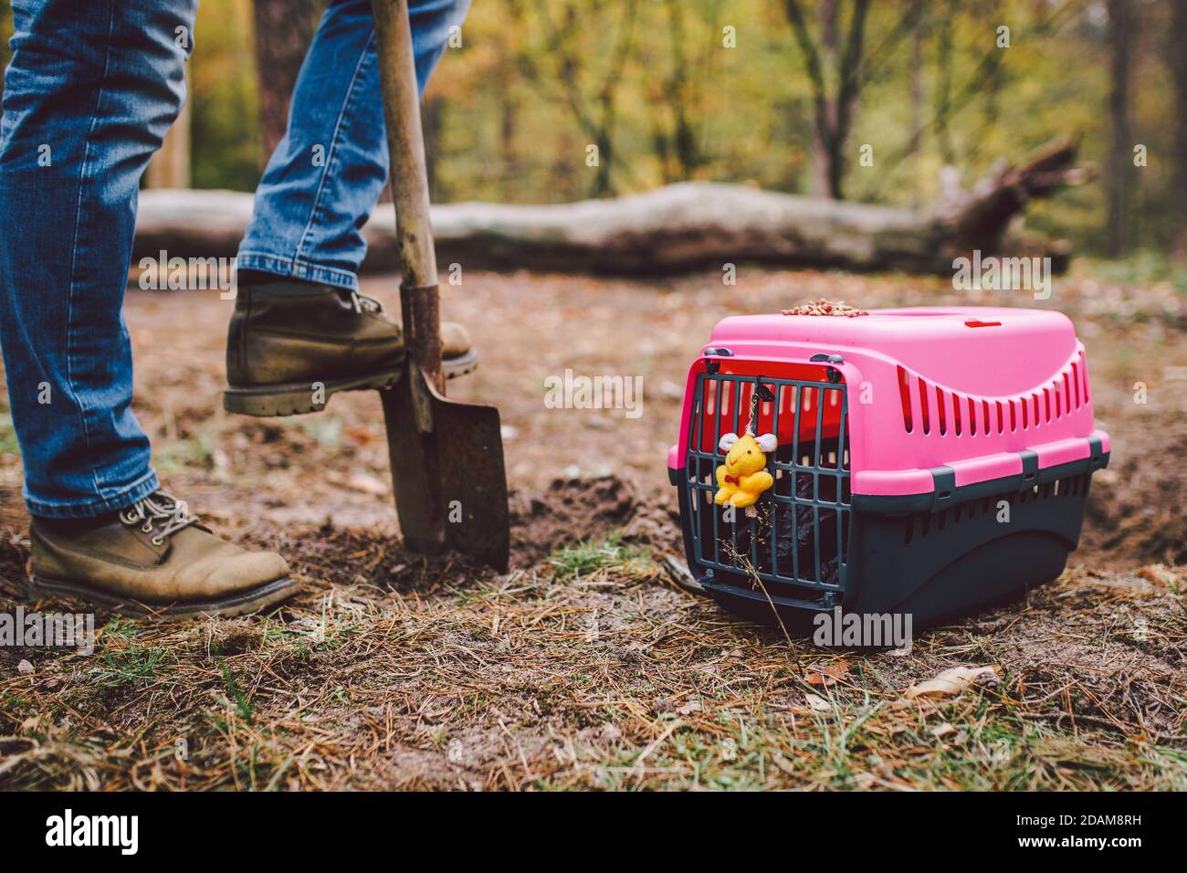 Toy spade soil hi-res stock photography and images - Alamy