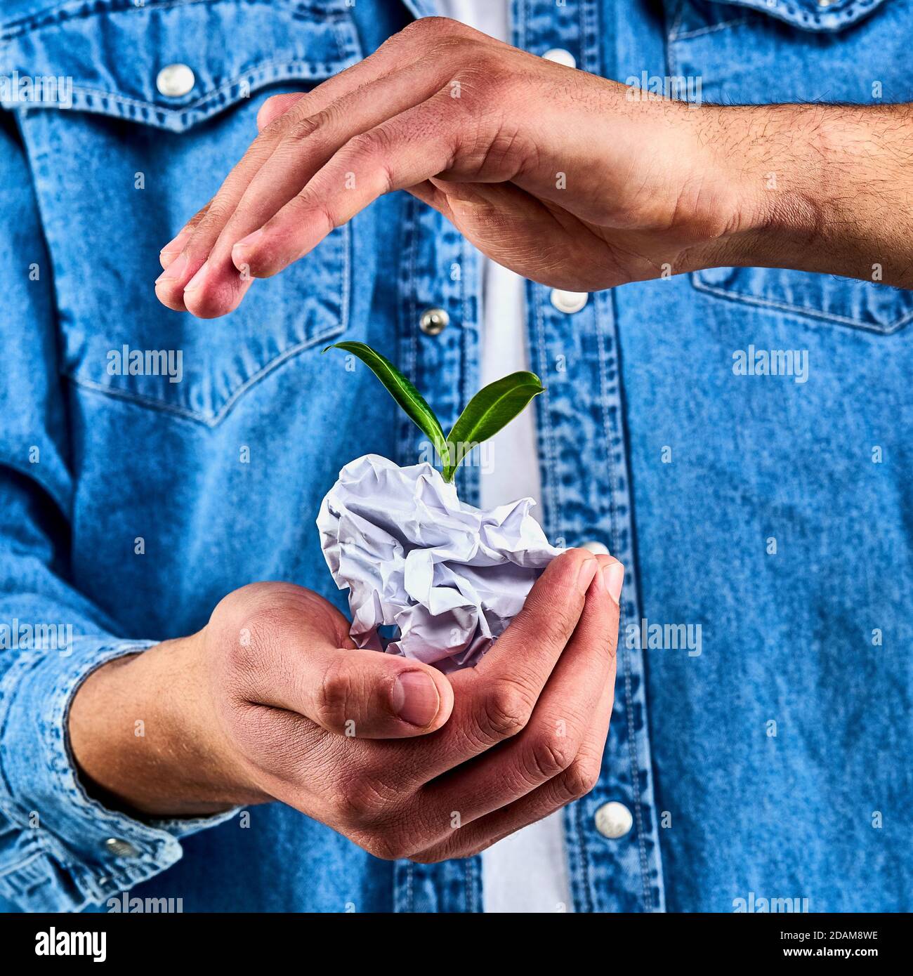 Hands hold a plant growing from paper clump. Ecology and recycle ...
