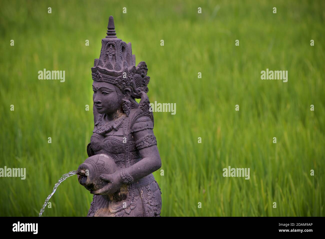 Water fountain of Dewi Sri. Balinese Goddess of rice. Rice field behind ...