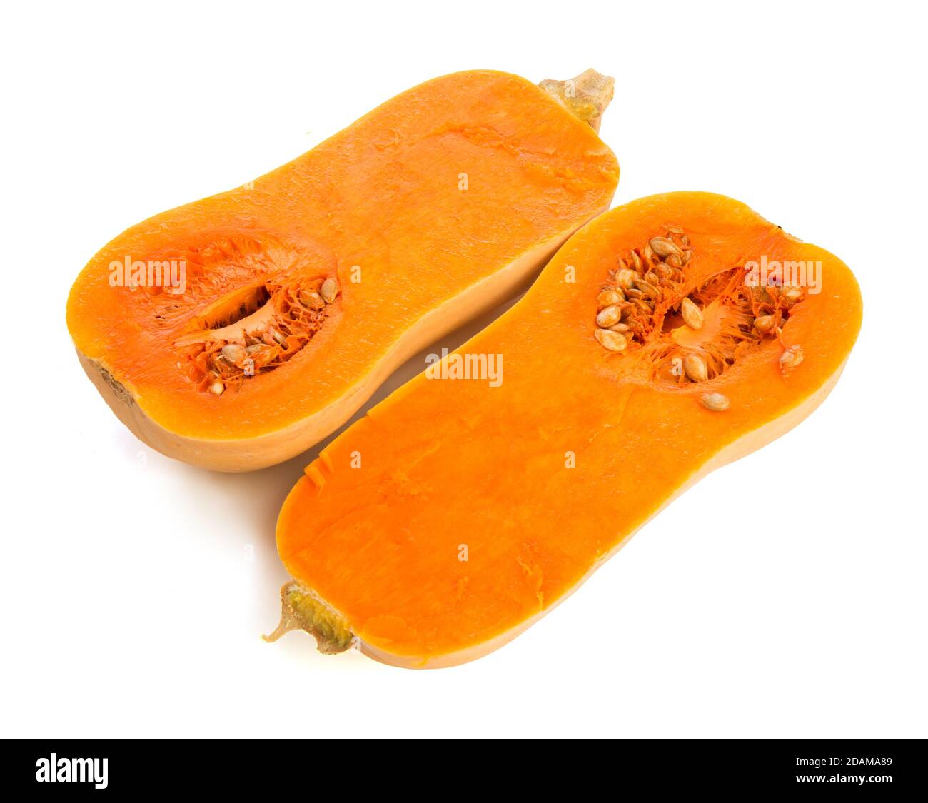 Butternut ready to cook cut in half on white background Stock Photo - Alamy