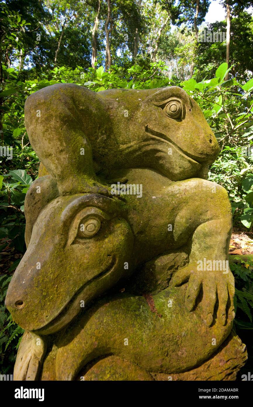 Indonesian lizards hi-res stock photography and images - Alamy