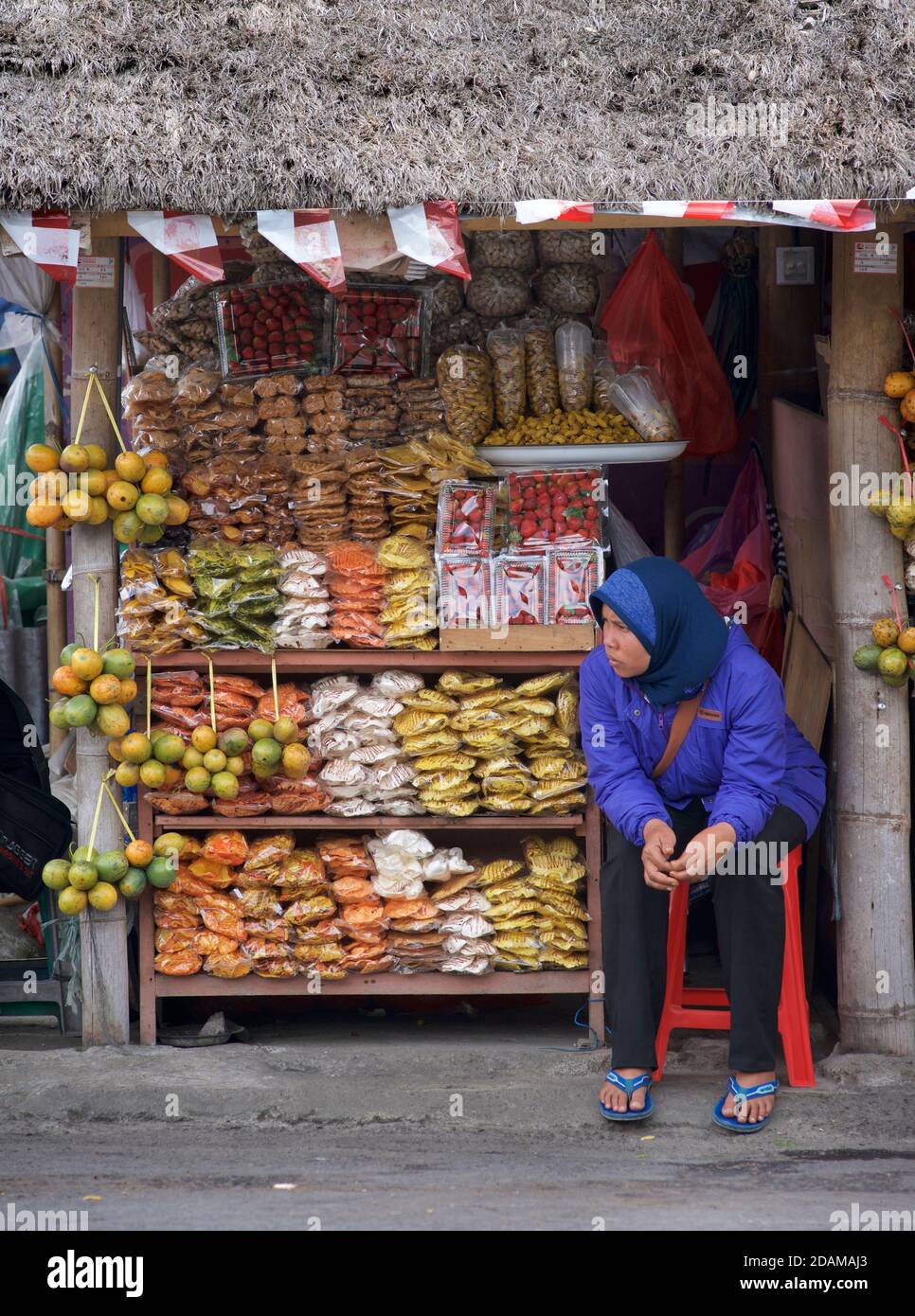 Balinese vendor and her roadside stall, Bedugul market, Bali, Indonesia ...