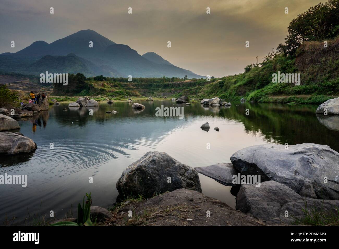 Rice terraces java indonesia hi-res stock photography and images - Alamy