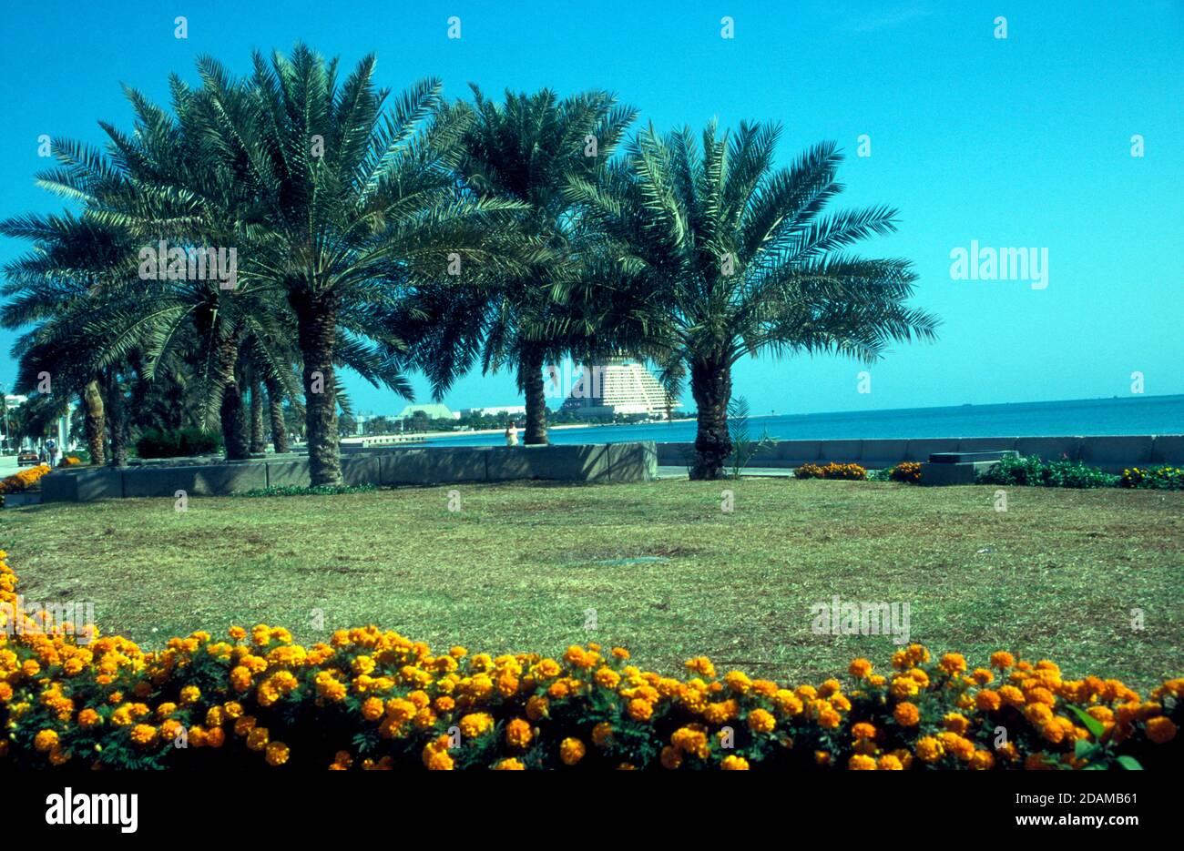 View of West Bay, Doha, with new Sheraton Hotel, Qatar 1980 Stock Photo ...