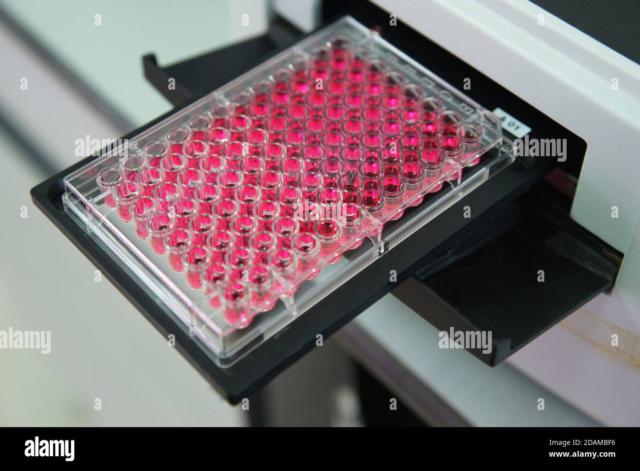 Elisa Test Elisa Test Hi Res Stock Photography And Images Alamy