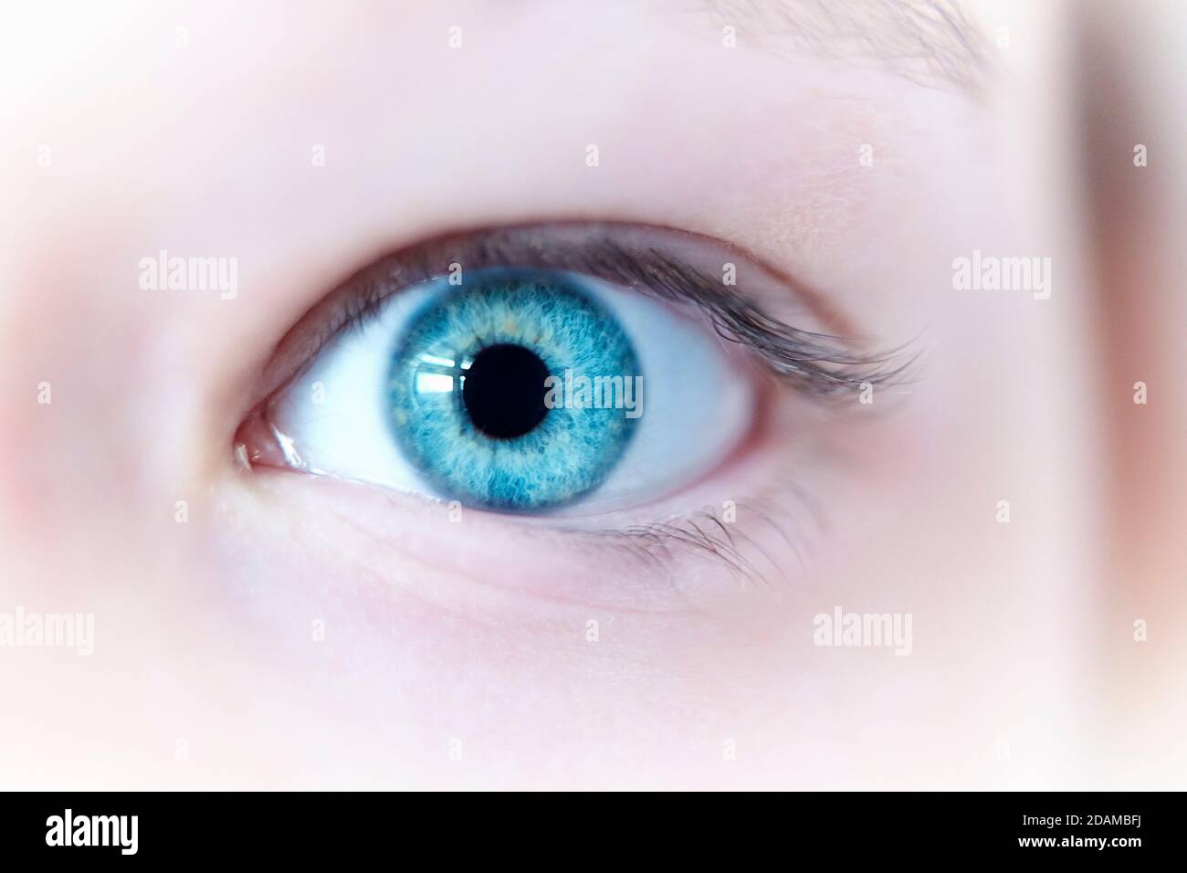 Illustration of a blue female eye Stock Photo - Alamy