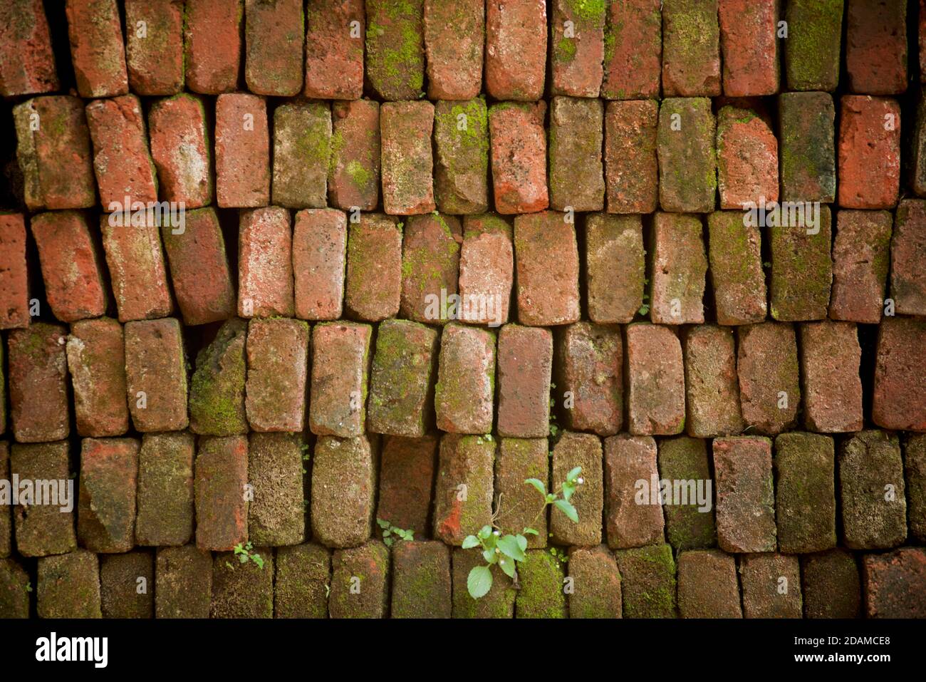 Piled bricks hi-res stock photography and images - Alamy