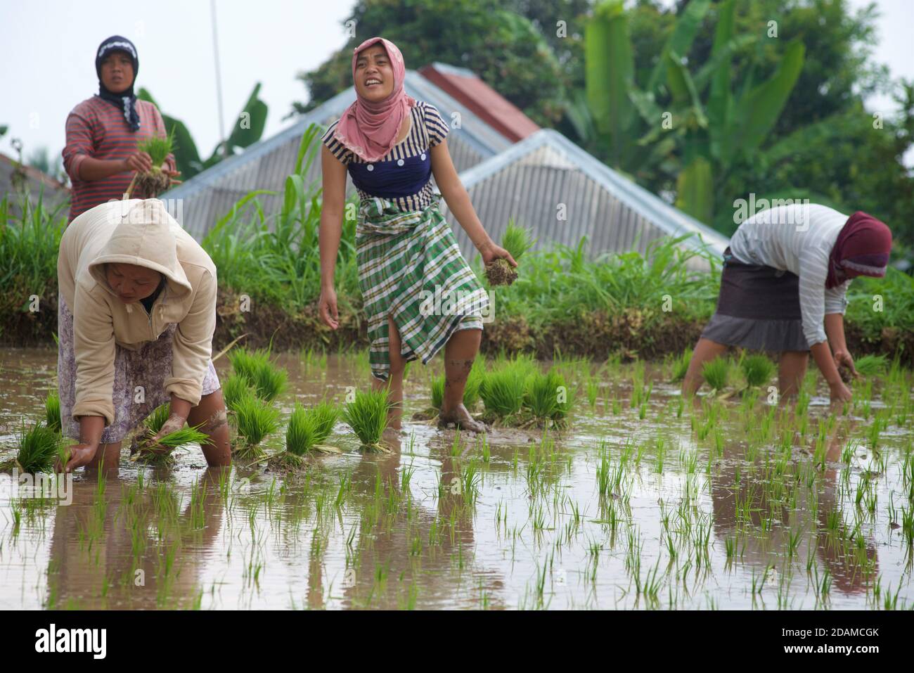 Indonesian women hi-res stock photography and images - Alamy