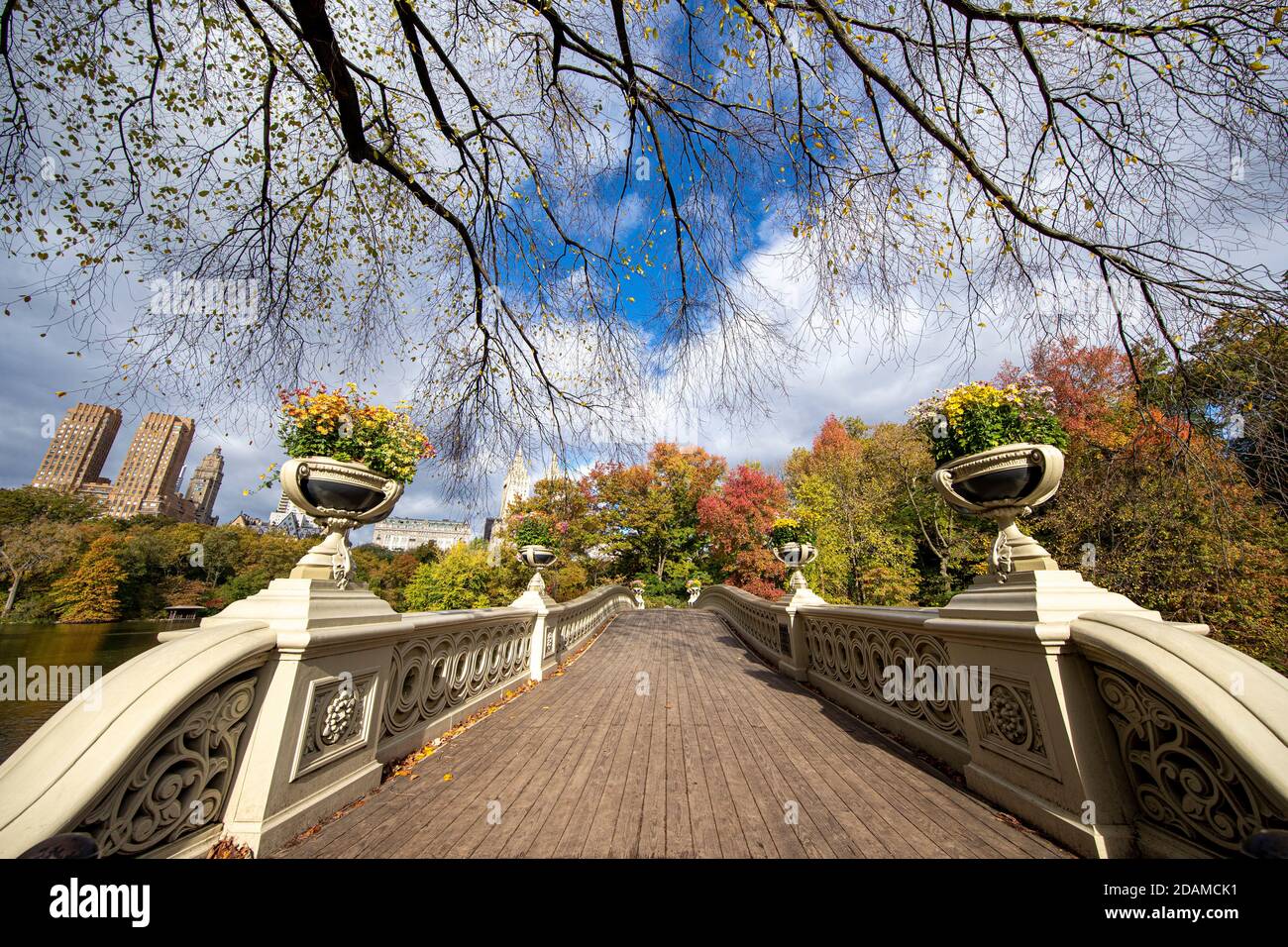 The Bow Bridge in Central Park, New York City Stock Photo - Alamy