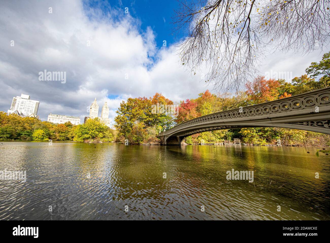 The Bow Bridge in Central Park, New York City Stock Photo - Alamy