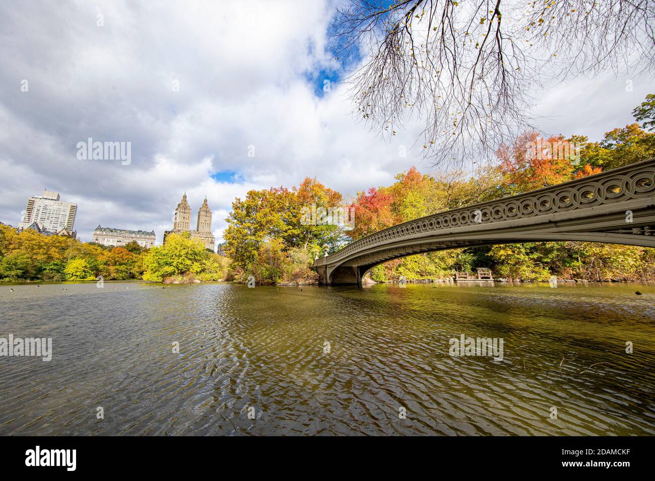 The Bow Bridge in Central Park, New York City Stock Photo - Alamy