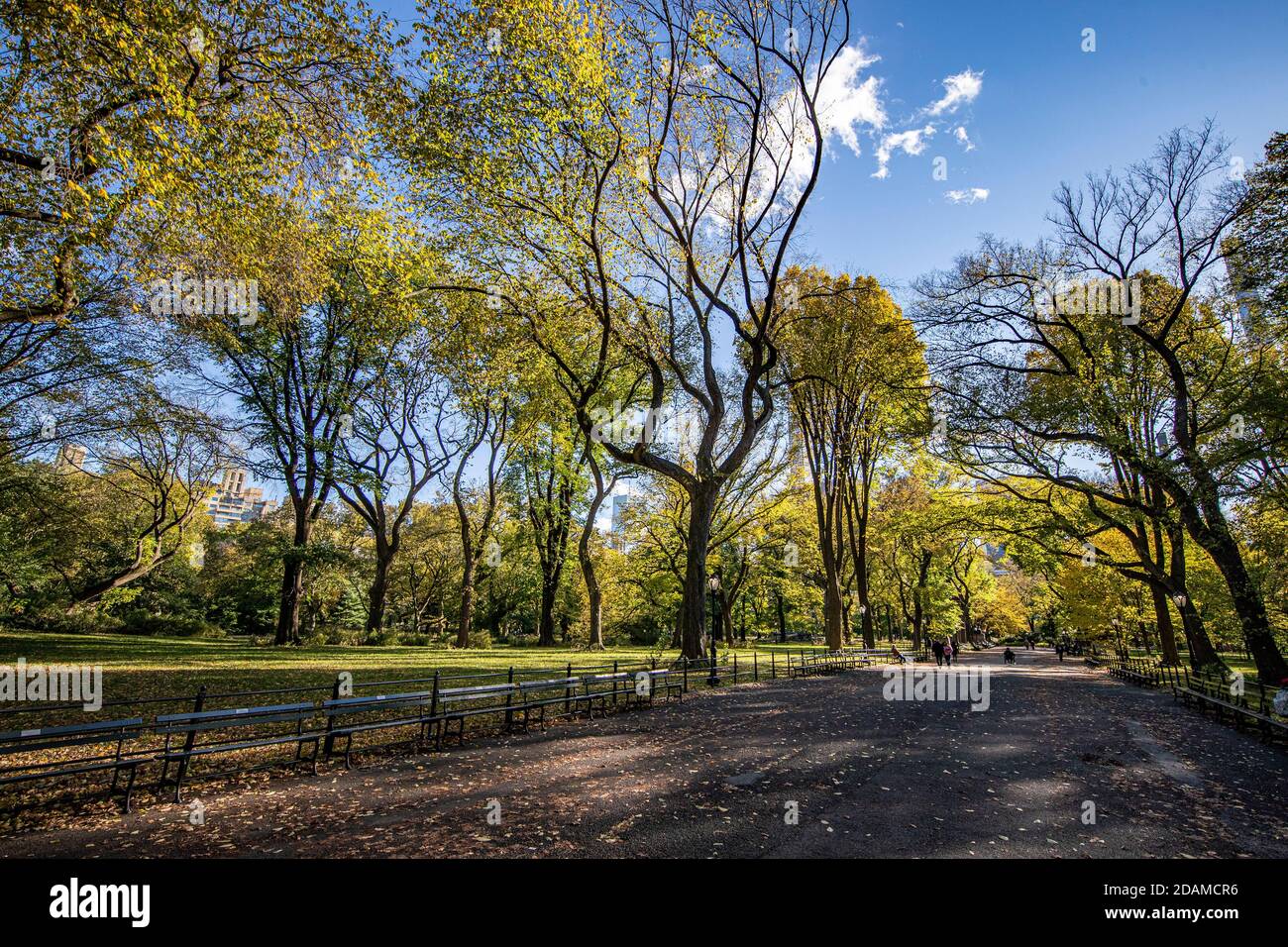 Colorful trees surrounding the Mall in Central Park, New York City ...