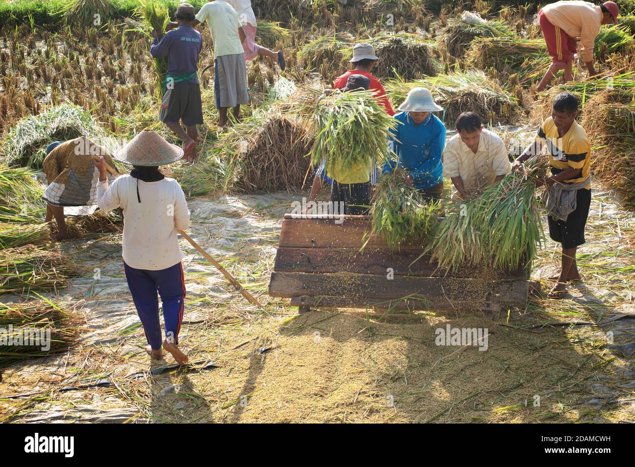 Indonesia160798 hi-res stock photography and images - Alamy