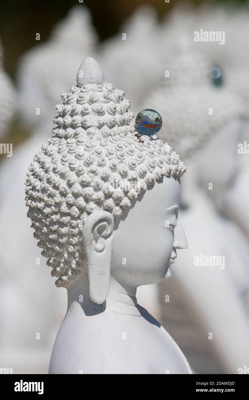 Buddha statues at the Garden of One Thousand Buddhas in Arlee, Montana ...